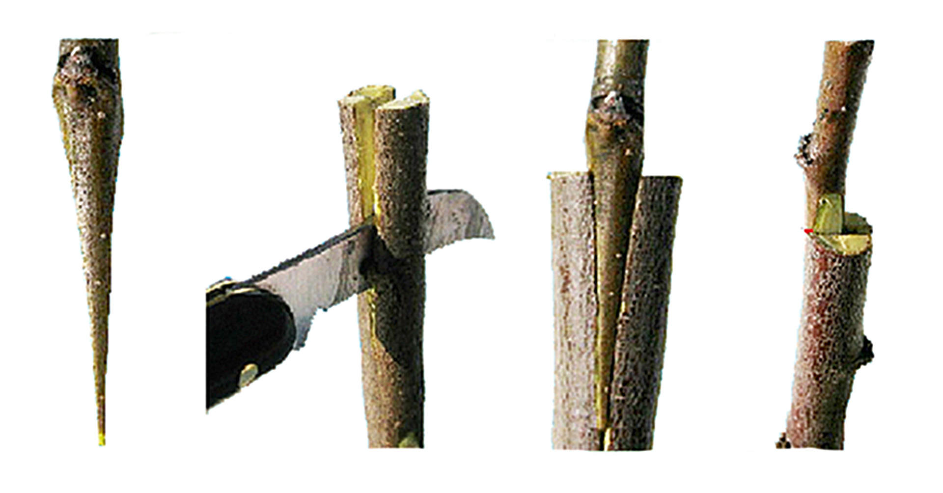 Articolo molto ma molto intelligente e filosofico che sembra scritto da ...