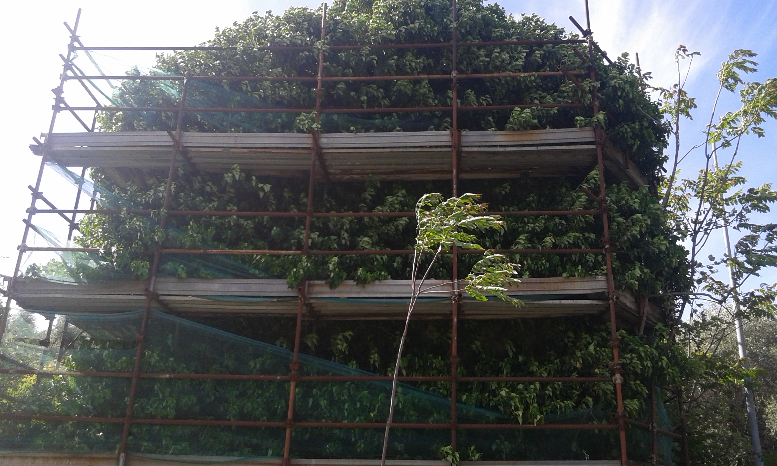 Solo per i veri amanti della natura. Vendesi vera casa verde (green per ...